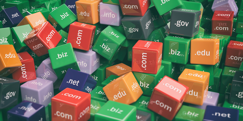 Pioneers in Tech: Elizabeth “Jake” Feinler’s domain names