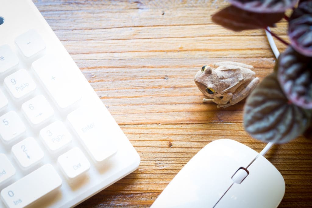 Beware the toads - Smarter MSP