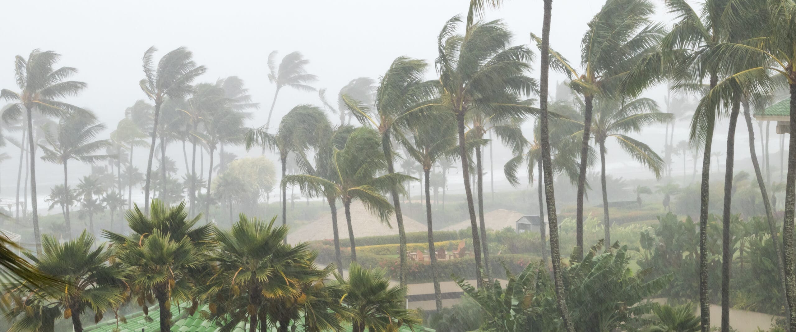 MSPs need to be prepared for summer disasters