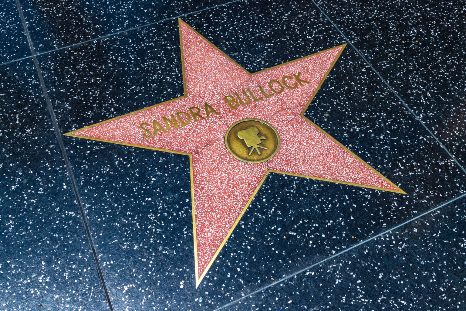 Pioneers in Tech: Sandra Bullock, Academy award winner, actress ...